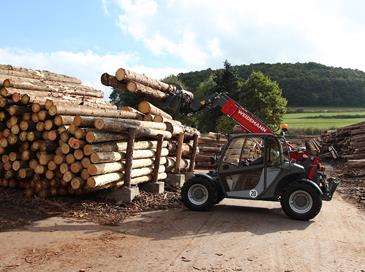 Forst & Holzwirtschaft